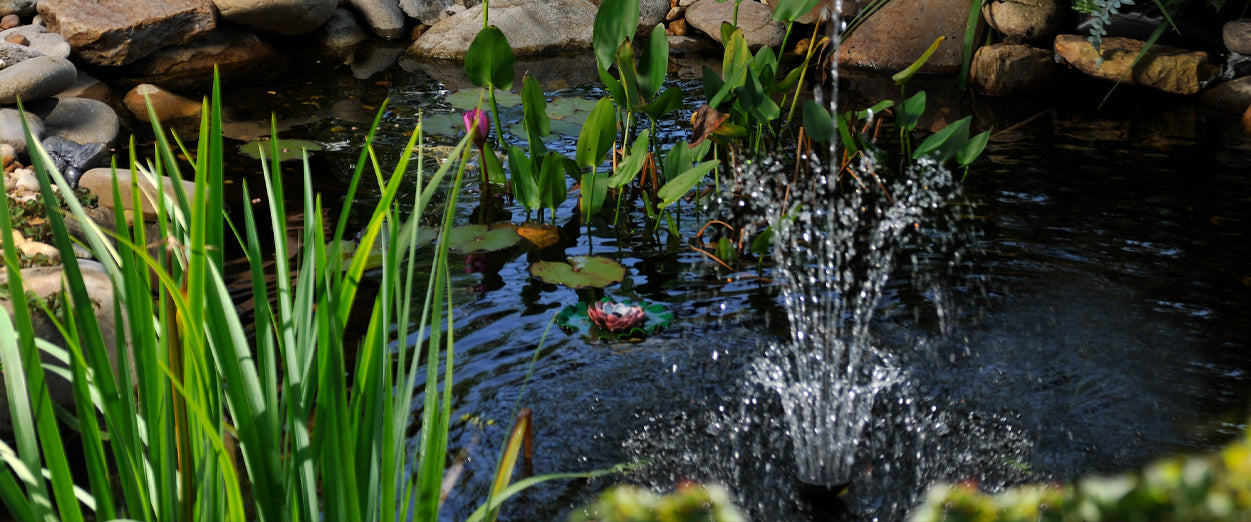 TotalPond Water Gardening