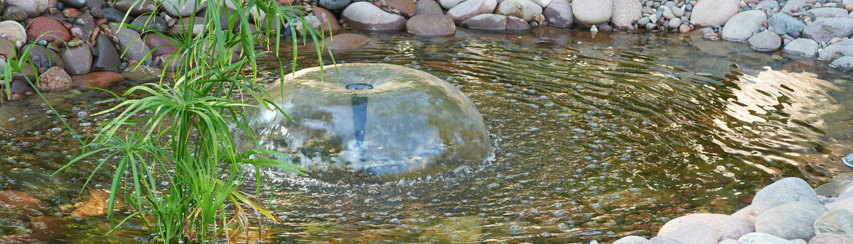 TotalPond Water Gardening